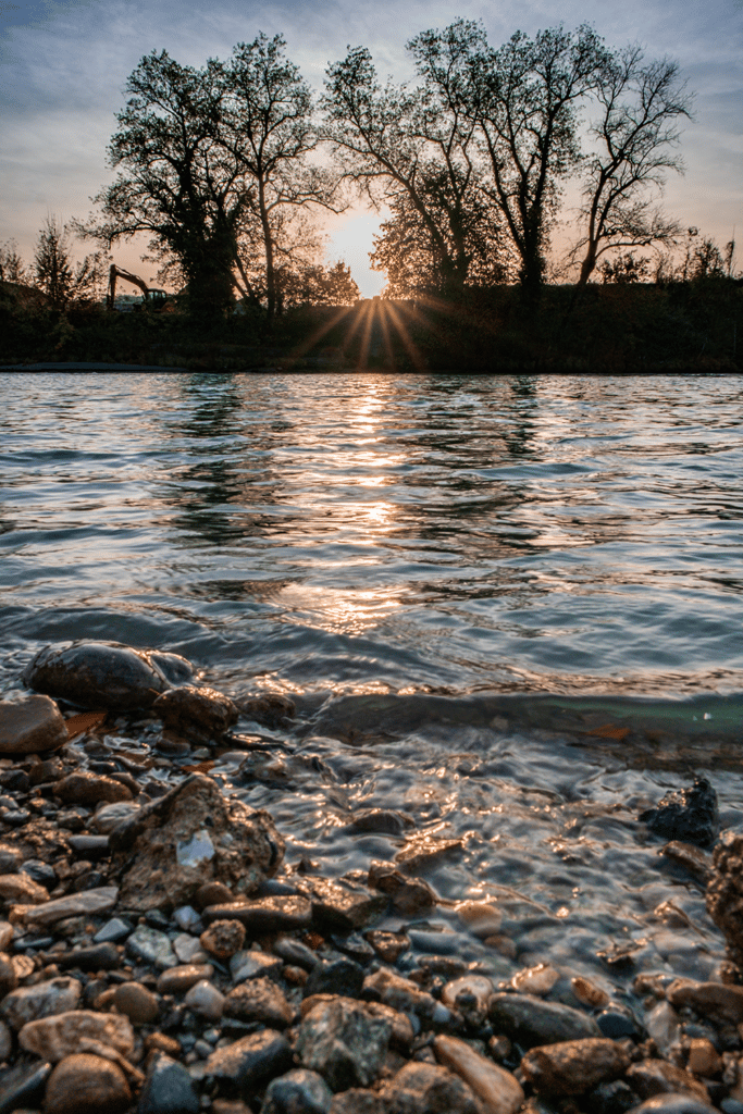 Newsletters - Communauté de communes Arve et Salève